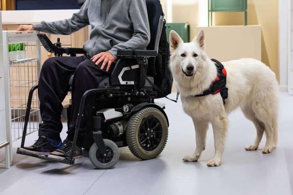 Best Electric Wheelchairs For Indoor Use - Best Mobility Aids